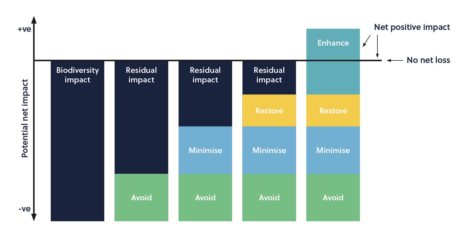 Unlocking nature's potential: how renewable energy can restore ...