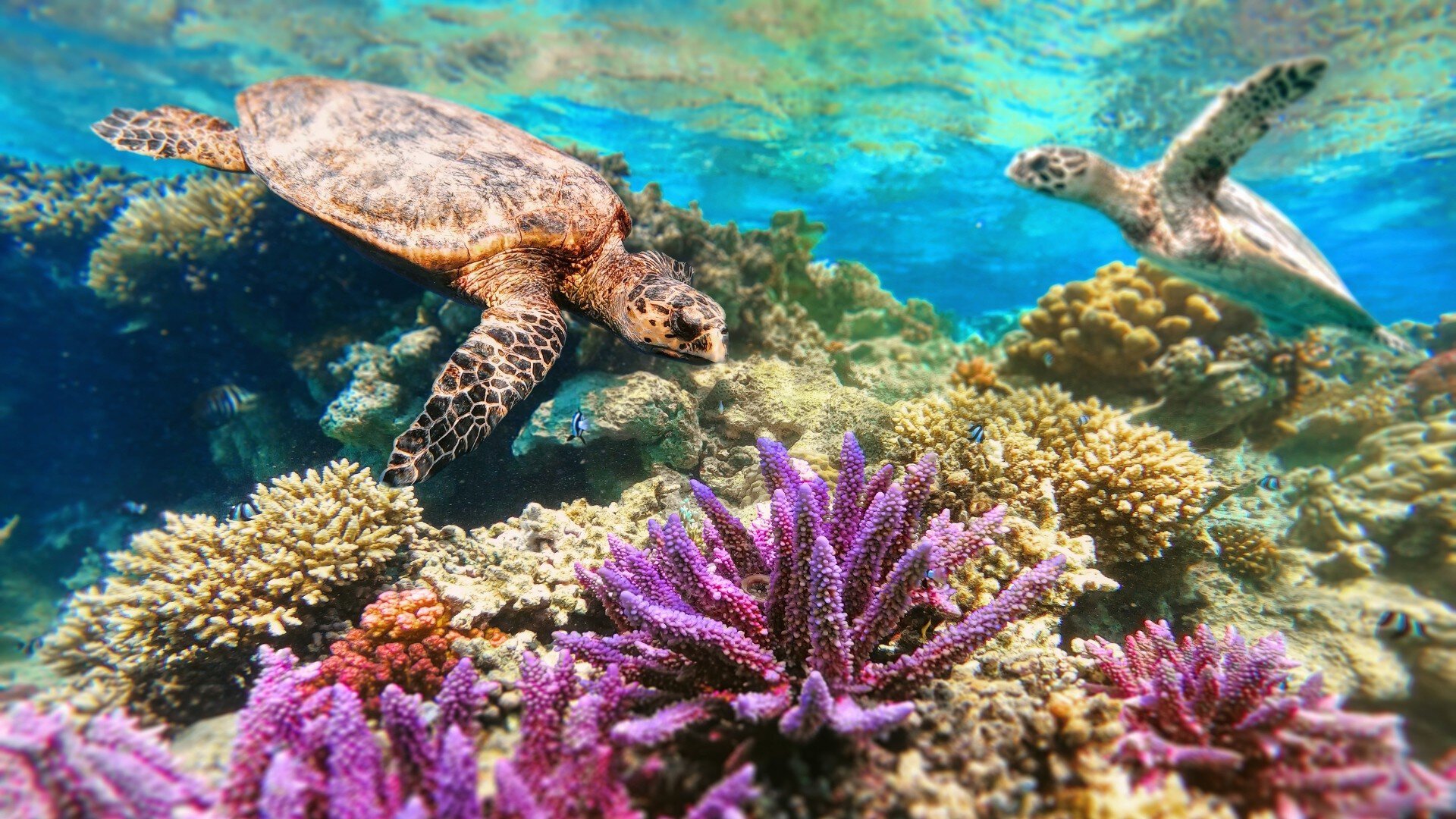 Preserving coastal heritage in the face of climate change | Fugro