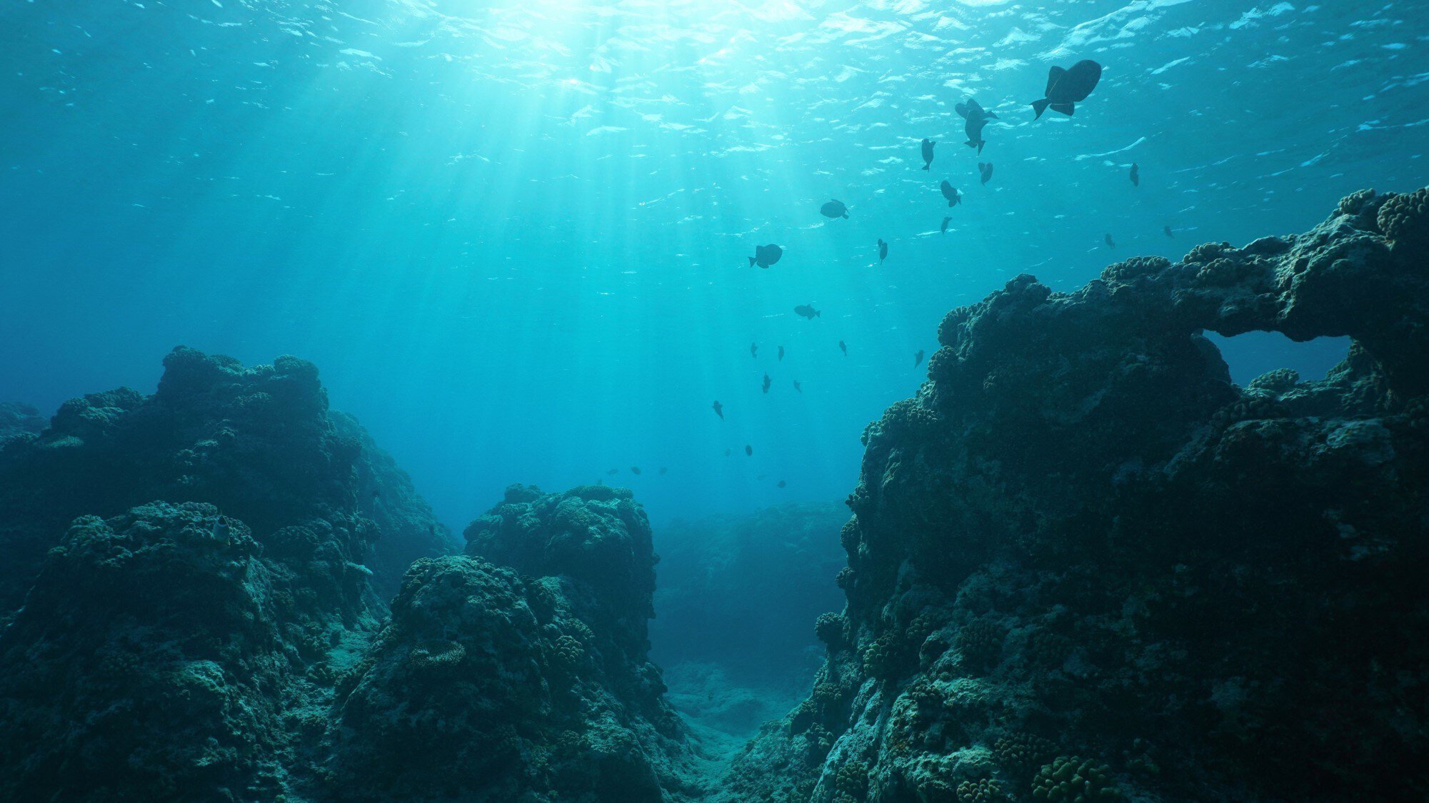 Revealing Ocean Hydrographic Data: Unveiling the Deep Secrets | Fugro